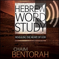 Hebrew Word Study: Revealing the Heart of God (audio) | Logos Bible ...