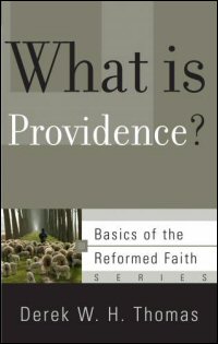 What Is Providence? - Verbum